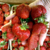 Edgewater Farm, Plainfield NH - New Hampshire Farms Network