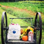 Riverview Farm, Plainfield, NH - New Hampshire Farms Network