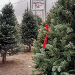 New Hampshire Farms Network